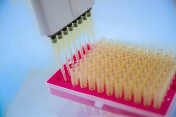 Quality Cutting Edge Multi Cavity Molds For High Precision Micropipetting for sale