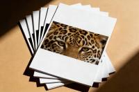 Quality High Brightness Inkjet Glossy Photo Paper 115g Lightweight For Image Printing for sale
