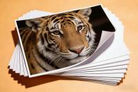 Quality High Definition White Double Sided Photographic Paper 300g Customization for sale