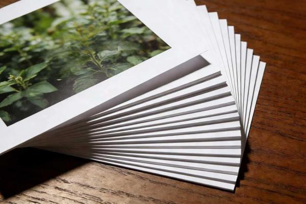 Quality High Definition Double Sided Inkjet Paper 260g White Glossy Inkjet Sticker Paper for sale