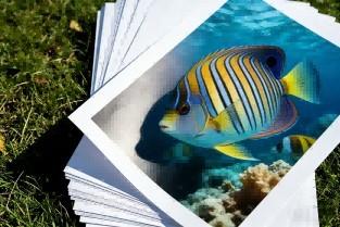 Quality Glossy Coating Double Sided Photo Paper 140g A4 A3 For Brochures Menus for sale