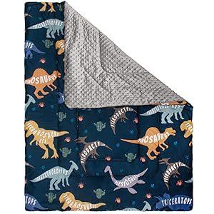 Alternative view of dinosaur bedding pattern