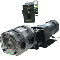China 220v AC variable speed KZ25 OEM peristaltic pump for sale