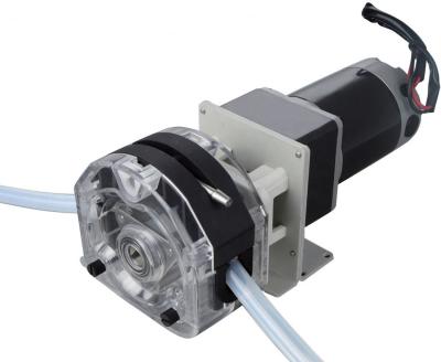 China 12v dc motor mini peristaltic pump food grade for sale