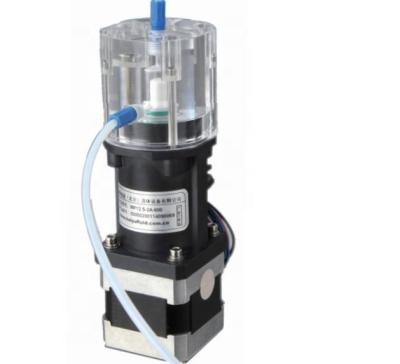 중국 CE 유체 피스톤 플러거 펌프 DC24V OEM 정밀 마이크로 피스톤 펌프 판매용