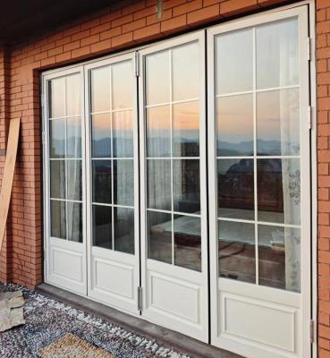 China Aluminum Frame French Door Double Glazed Glass Door Aluminium Window Making Materials for Home Villa School 5-Year Warranty for sale