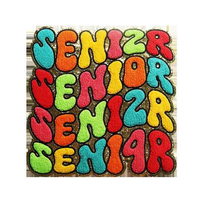 Cina Feltro personalizzato per il retro Lettere universitarie Cenile Ricamo di Natale Patch per bambini Abbigliamento in vendita