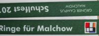 China Custom Polyester Lanyards with Silk Screen Printing Logo 100 Pcs Minimum Order for sale