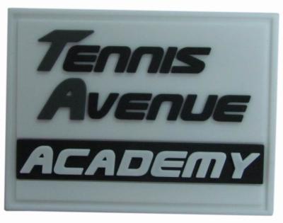 Cina il ferro ricamato su ordinazione sul distintivo rattoppa l'accademia del viale del tennis in vendita