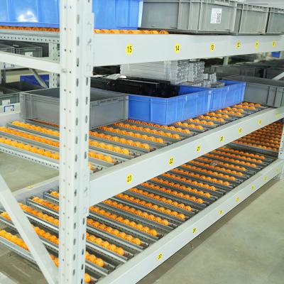 China Clean Room Gravity Flow Rack Anti Dust Precision Industrial FIFO Rack For Workshop for sale