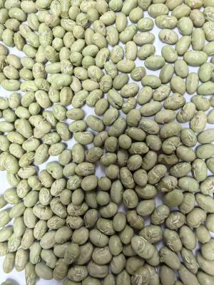 China Baked Organic Soya Bean Crunchies Nutrient Dense Protein Snack Ideal for Food Manufacturers and Health Oriented Products for sale