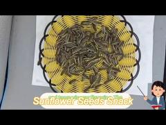 salt vinegar sunflower seeds