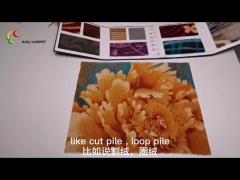 Van de het Tapijtdouane van het gangtapijt Nylon Gedrukte Bestand het Ontwerpvlek