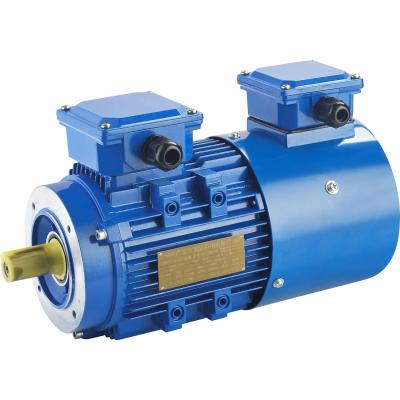 China YVF/YVP Series Frequecy Conversion Adjustable Speed AC Motor for sale