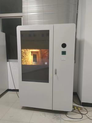 China Gepersonaliseerde verpakking E-portemonnee Reverse Vending Machine Recycling PET en LDPE met crusher Te koop