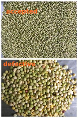 China Van de de Aardnootsorteermachine van de kikkererwtensojaboon Optische Helling 10 Te koop