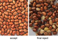 China Automatic Bean Color Sorter Machine Intelligent Colour Separation Machine for sale