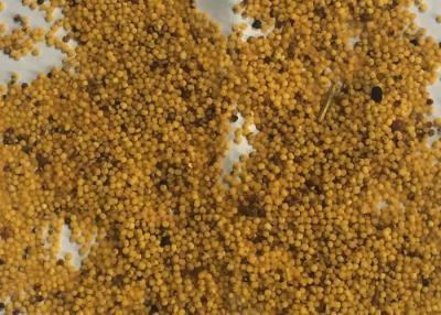 Cina Selezionatore di colore della macchina fotografica di colore pieno del riso di giallo di grande capacità di 630 canali in vendita