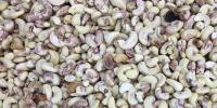 China Steel Frame Model S5 Cashew Nuts Kernel Color Sorter Nuts Sorting Machine for sale
