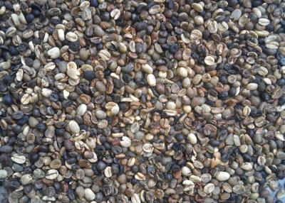 China Arabica van de Hons Slimme Reeks S4 de Kleurensorteerder van Koffiebonen met nikonccd Camera Te koop