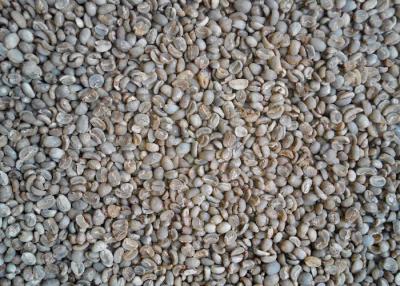 China Arabica van de Hons Slimme Reeks S4 de Kleurensorteerder van Koffiebonen met nikonccd Camera Te koop