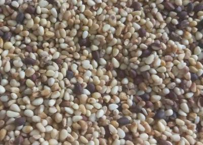 Cina Vaglio matto del selezionatore di colore del nocciolo del pinolo della macchina di agricoltura in vendita