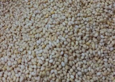 Cina Vaglio matto del selezionatore di colore del nocciolo del pinolo della macchina di agricoltura in vendita