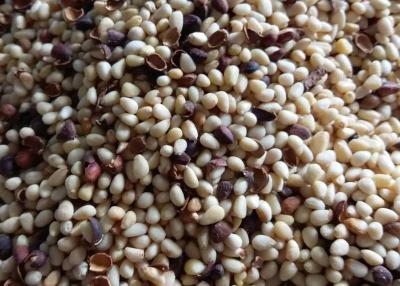 Cina Vaglio matto del selezionatore di colore del nocciolo del pinolo della macchina di agricoltura in vendita