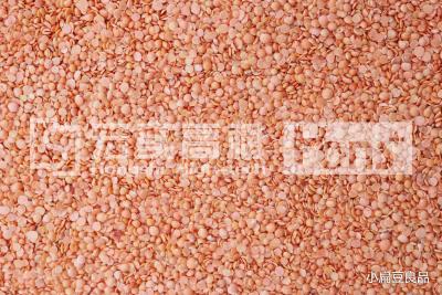 Cina Il CCD intelligente delle lenticchie dei canali del nuovo tipo 504 colora il produttore del selezionatore in vendita