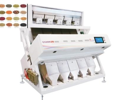 Cina Macchina multifunzionale del selezionatore di colore del grano del CCD dei nuovi di progettazione di alta qualità scivoli di accuratezza cinque in vendita