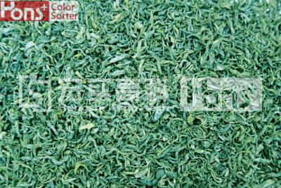 Cina Vaglio del selezionatore di colore delle verdure del mare del tè di capacità elevata in vendita