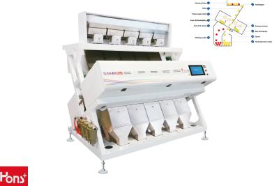 Cina Macchina multifunzionale AC220V/50Hz del selezionatore di colore dei fagioli del riso della telecamera CCD in vendita