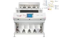 China 252 Channels Classification Cashew Color Sorter Automatic Separation for sale