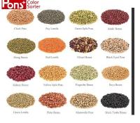 China linear array lens 7 Chutes CCD Salt Color Sorter  High Sensitivity Camera for sale