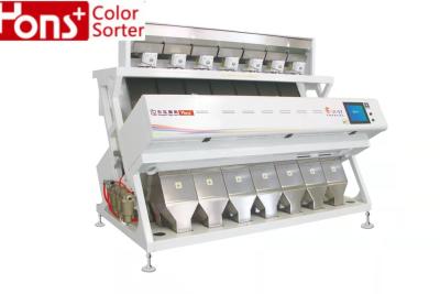 Cina Telecamera CCD 54 milione caffè Bean Sorter Multi Light Source dei pixel in vendita