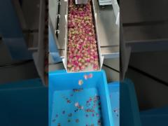 Rose Vacuum Gravity Sorting machine