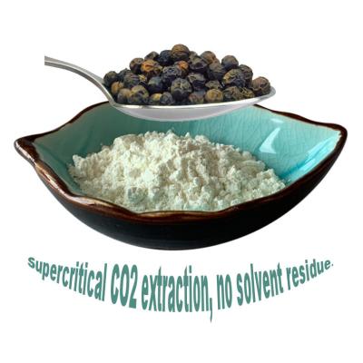 China Piperine Black Pepper Extract 50% 95% 98% Food Grade For Health Product for sale