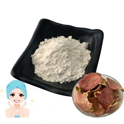 China High Purity Pomegranate Extract Ellagic Acid 95% 98% 99% Anti Cancer for sale