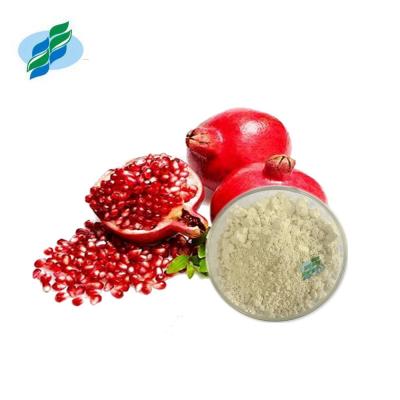China Water Soluble Pomegranate Peel Extract Ellagic Acid Skin Whitening for sale