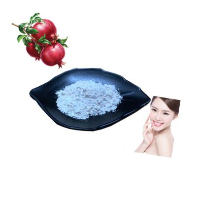 China Pharmaceutic Grade Pomegranate Peel Extract 99% Ellagic Acid Anti Inflammatory for sale