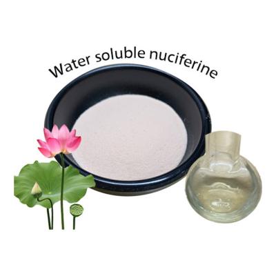 China Natural Weight Loss Additives Nuciferine 2% 5% For Health Products Oil Exclusion for sale