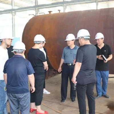 Cina Controllo automatico dell'efficienza del forno di trasporto di calore organico da biomassa a carbone in vendita