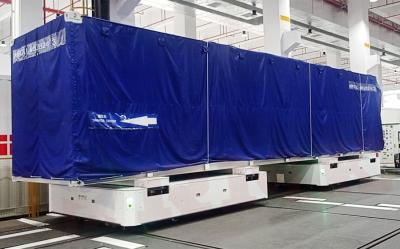 Cina 40 Tons Dual Cart Linkage Automated RGV in vendita