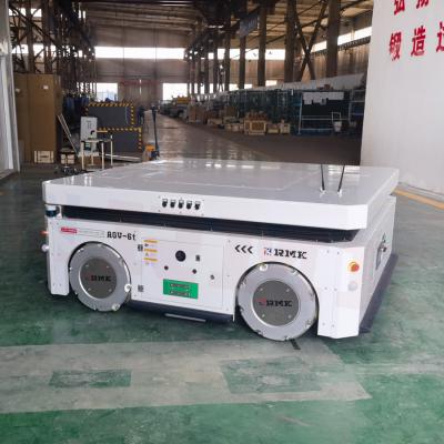 Cina Hybrid Navigation AGV Automated Handling Cart Omnidirectional Mobile Transfer Cart in vendita