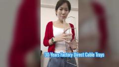 30Yrs Factory Bendin-All Types Cable Trays