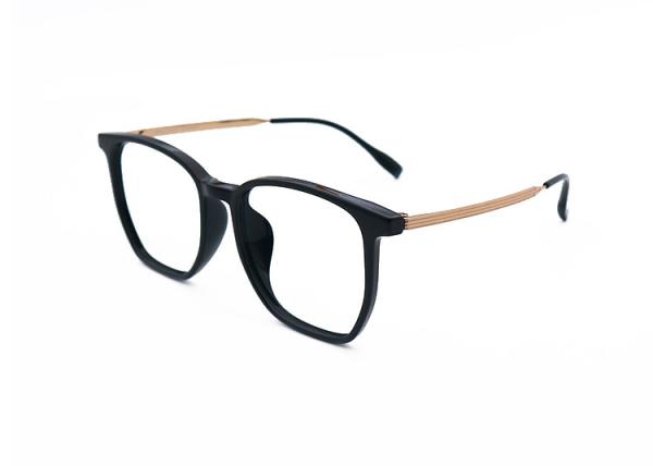 Quality Pure Titanium Beta Titanium Glasses Adjustable Fashion TR ZTO 1025 for sale