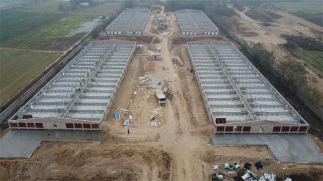 Steel Structure Pig House For Pig Feeding Farm