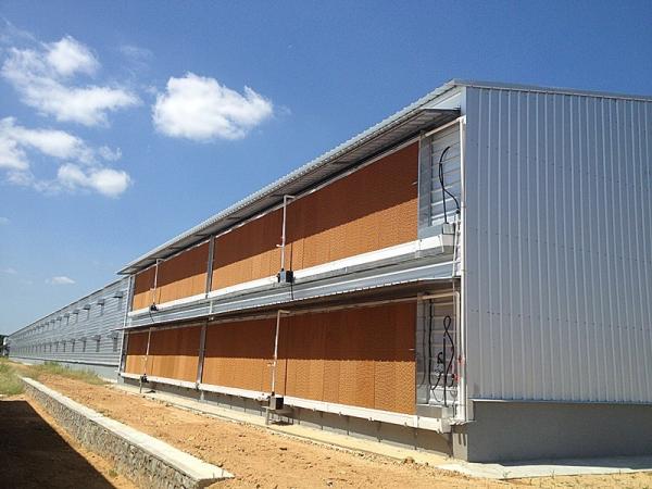 Quality Customizable Eco Friendly PEB Steel Building Pre Engineered Steel Structures for sale