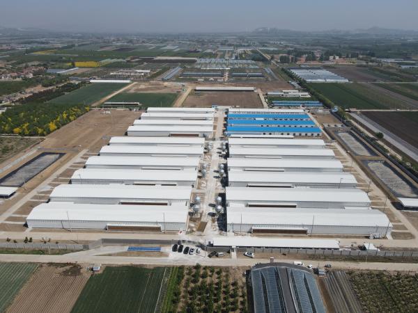 Quality Industrial Steel Structural Buildings Prefabricated Steel Poultry House Customized for sale