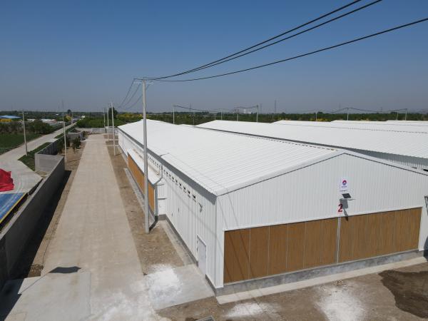 Quality Industrial Steel Structural Buildings Prefabricated Steel Poultry House for sale